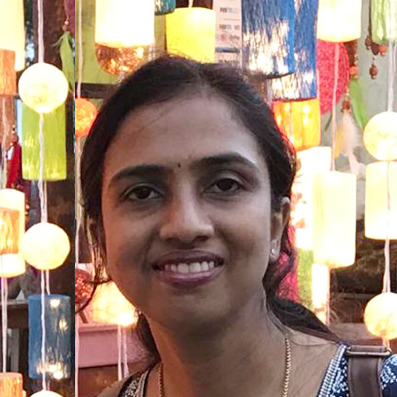 Hasiru Dala
