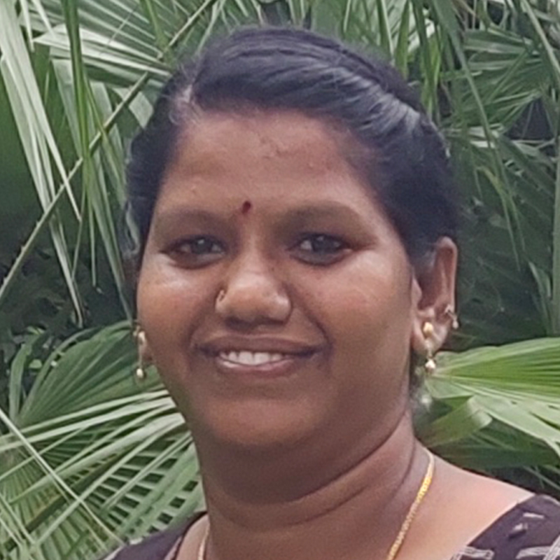Hasiru Dala